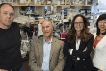 Ph.D. in Biological Sciences | Irell and Manella Graduate School of ...